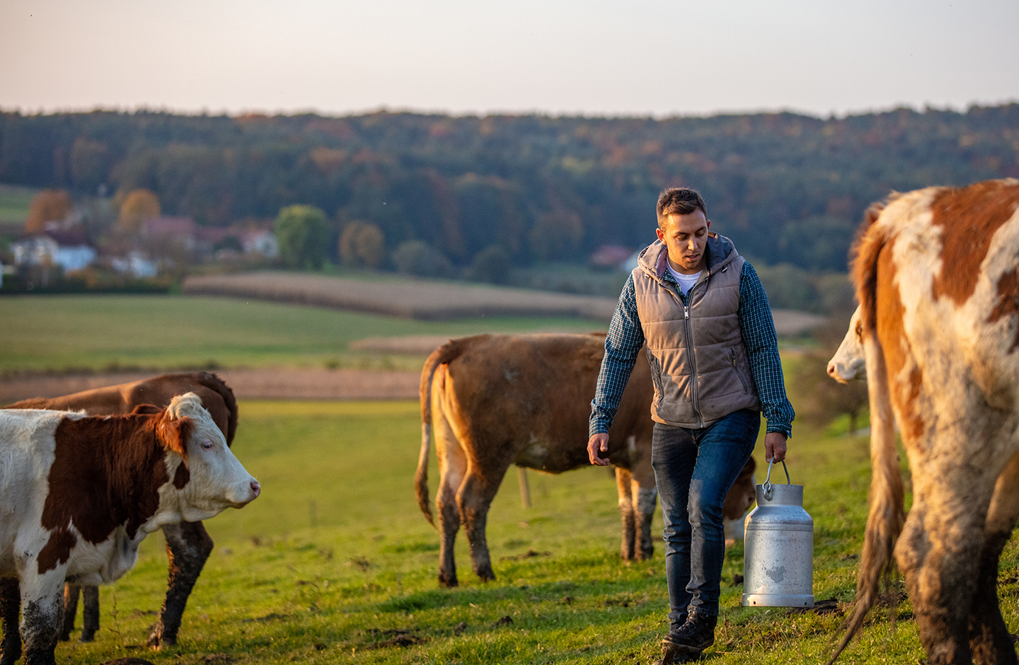 Business transition strategy for Robert E. Lee Ranch Company | Wipfli