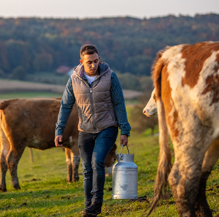 Business transition strategy for Robert E. Lee Ranch Company | Wipfli